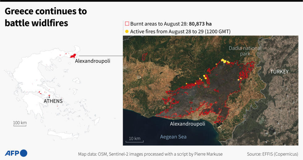 Greek summer wildfires will burn over 150,000 hectares: PM