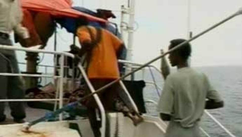 Islamists hunt for Somali pirates