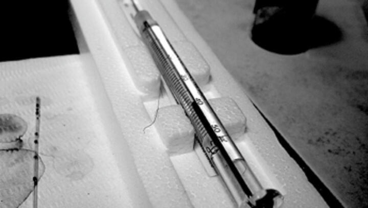 US apologises for syphilis tests on Guatemalan prisoners