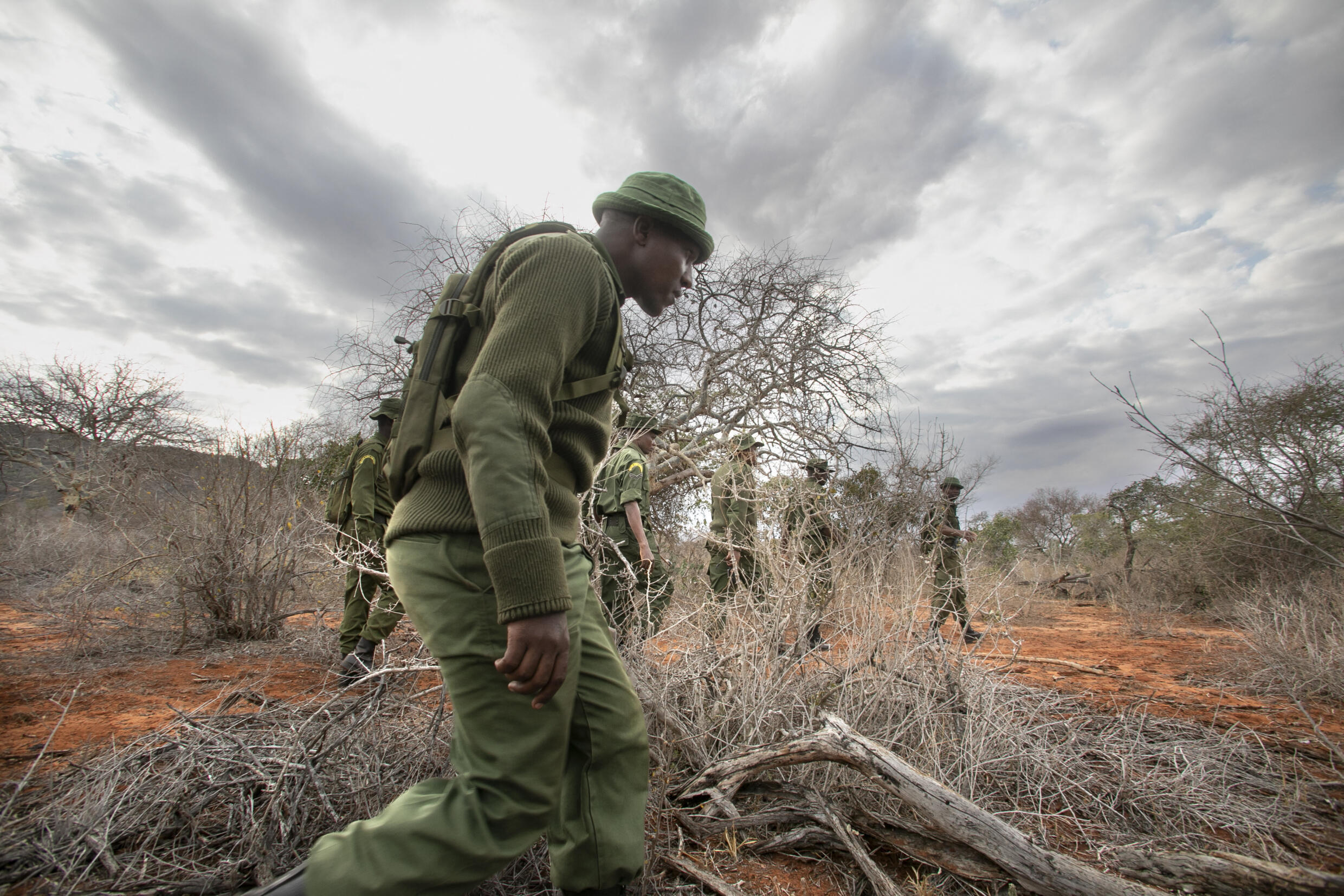 Kenya bets on carbon credits as it hosts African climate summit