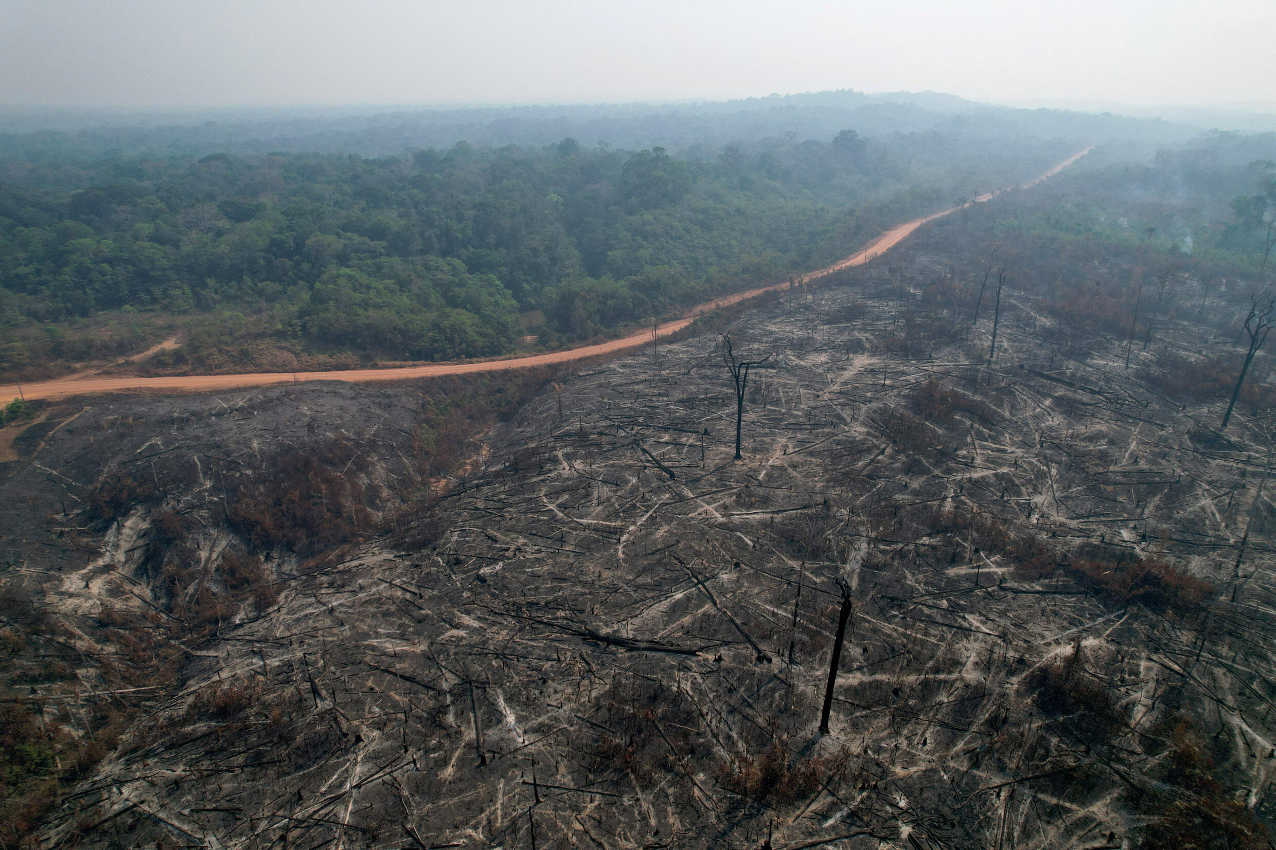 Los incendios en la Amazonía no cesan y el humo se extiende hasta el ...
