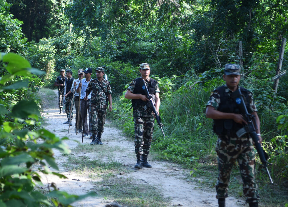 Nepal community efforts revive red panda population