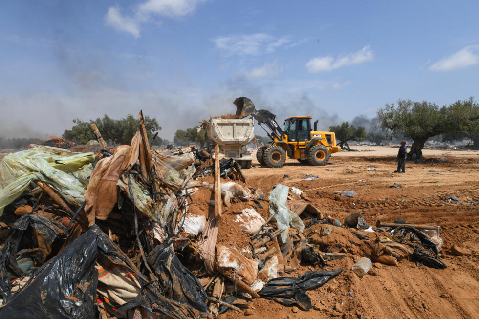 En Tunisie, le propriétaire terrien et son oliveraie, symboles de la ...