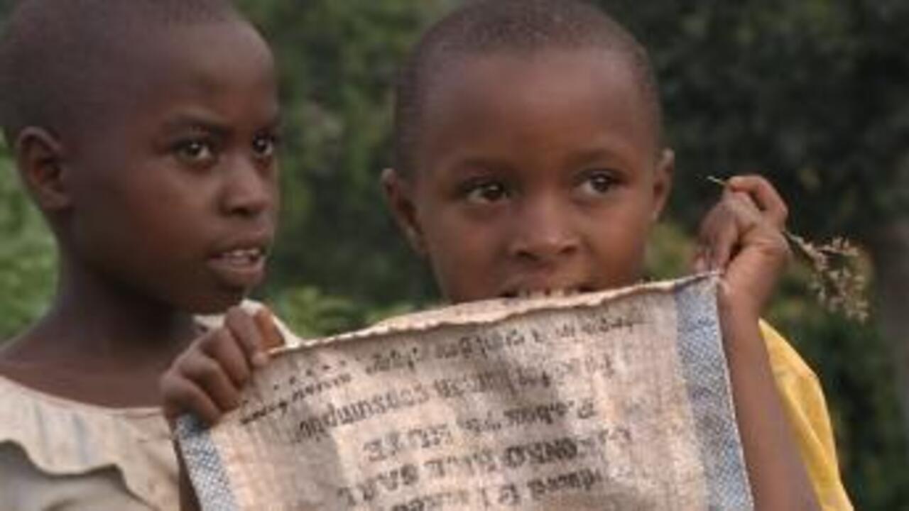 Rwanda's plastic bag-free utopia - Down to Earth