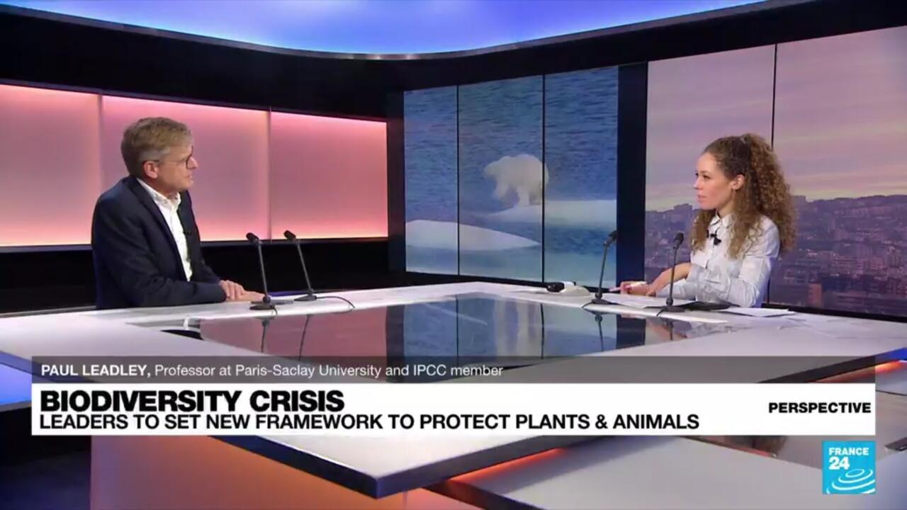 New Global Biodiversity Framework: 'Everything is in there, it just ...