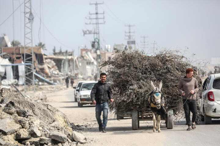 Donkeys offer Gazans lifeline amid war shortages