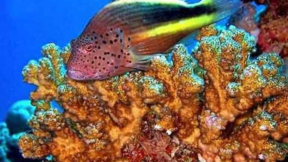 Ecosystem damage costs trillions per year