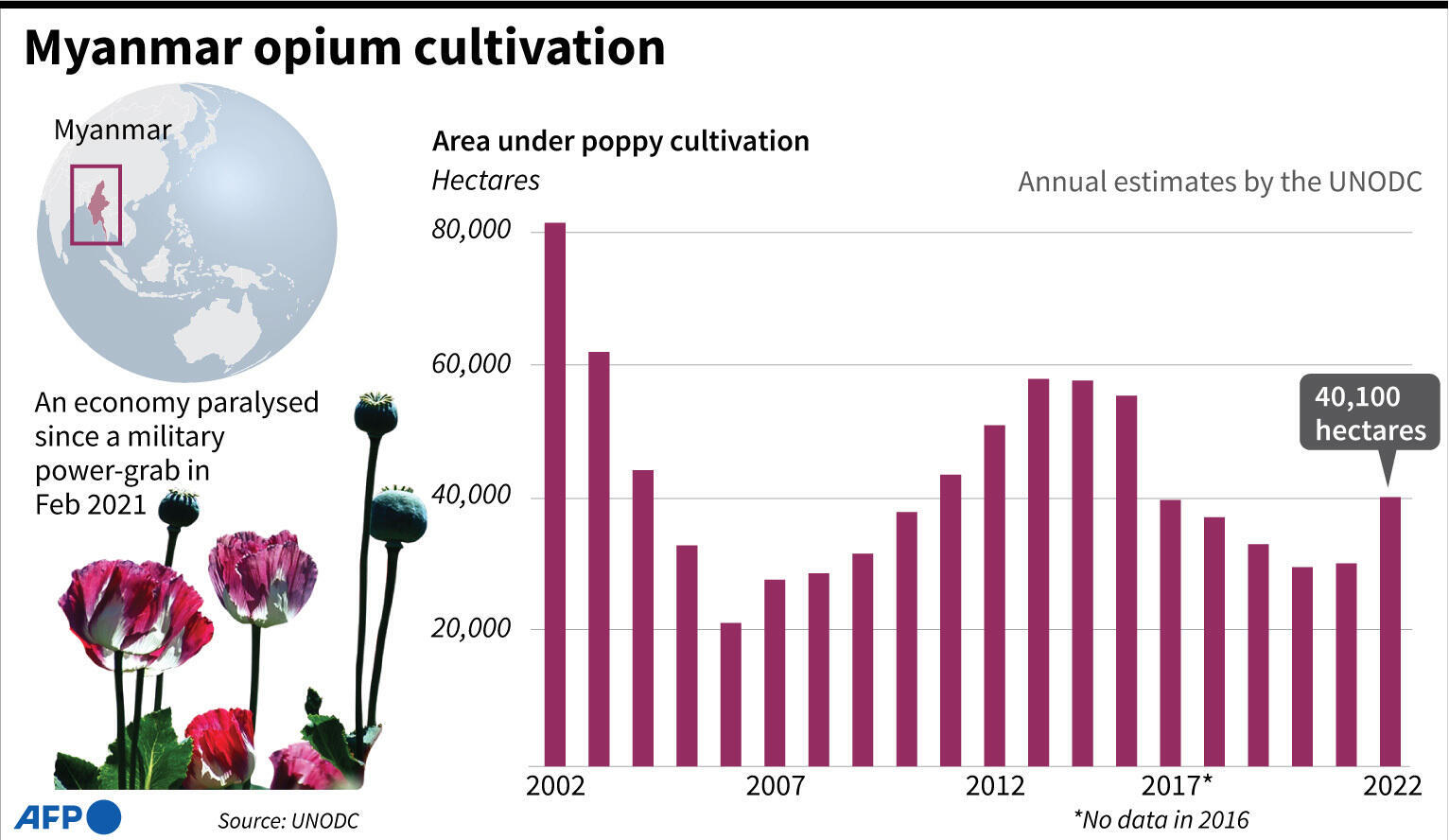 Myanmar opium farming booming after coup: UN