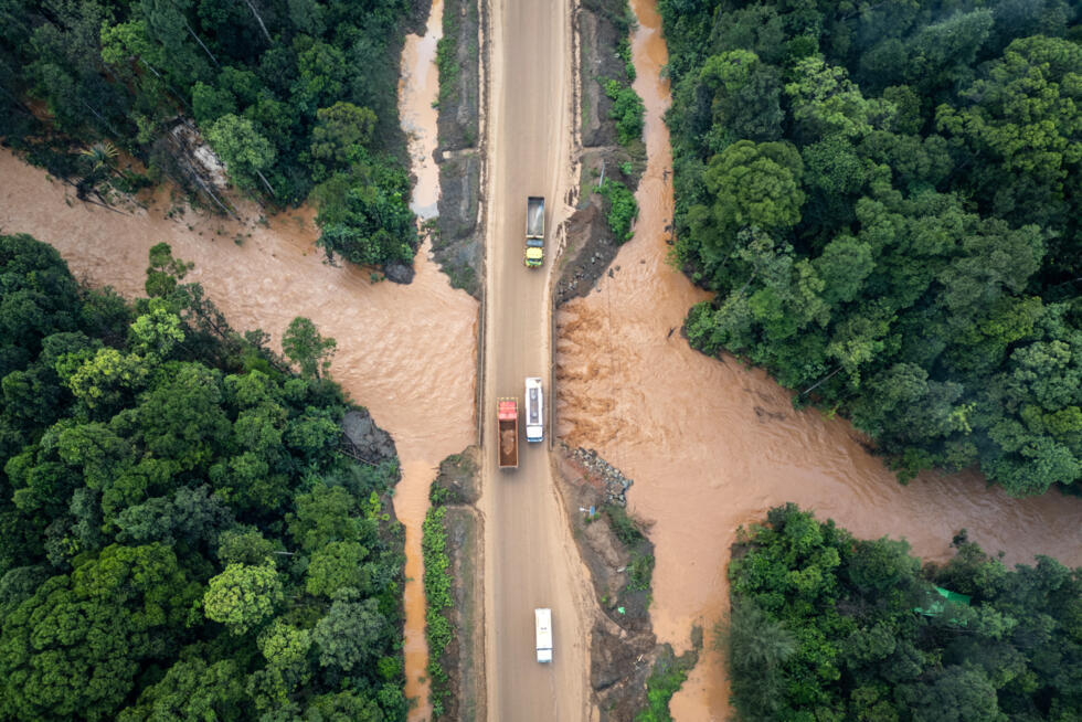 Nickel rush for stainless steel, EVs guts Indonesia tribe's forest home