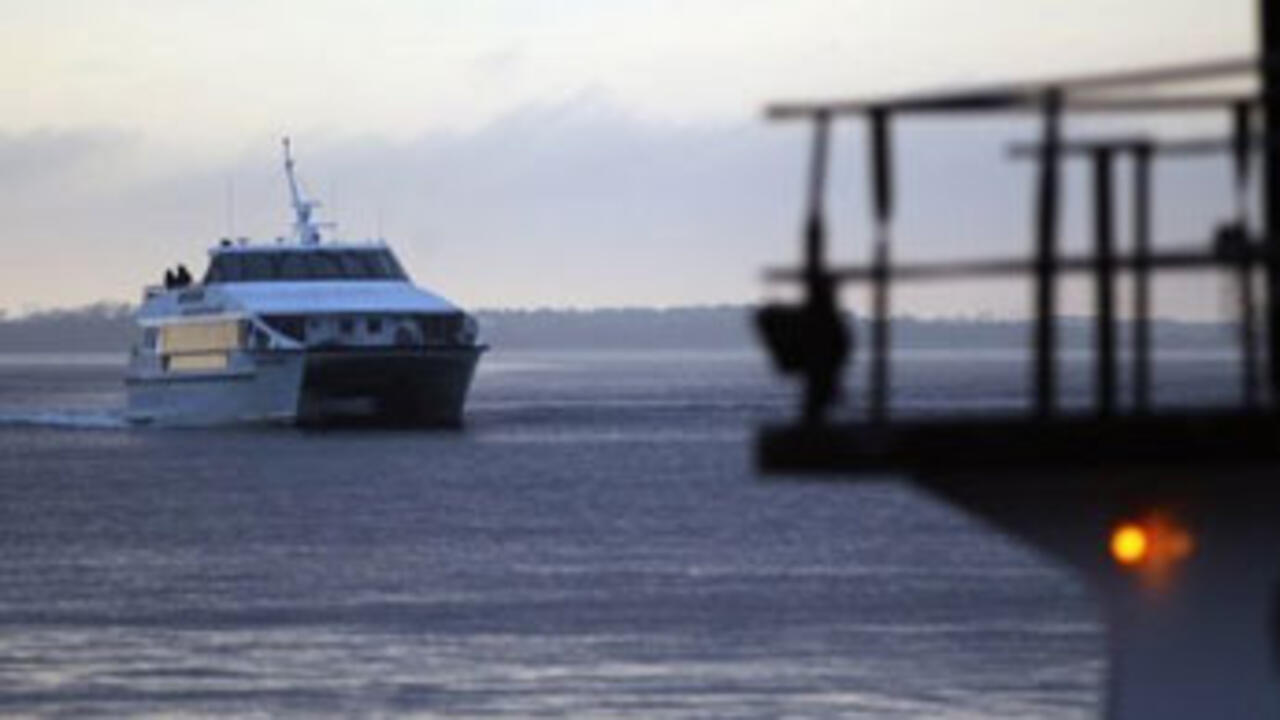 Dozens injured in New York ferry accident