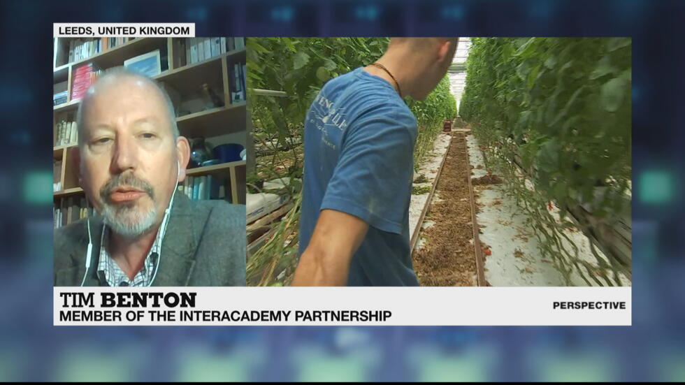 Fixing the world's global food system - Perspective