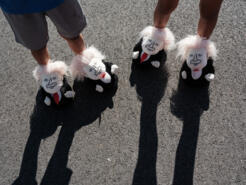 Harris to showcase Springsteen, Obama at star-studded Georgia rally