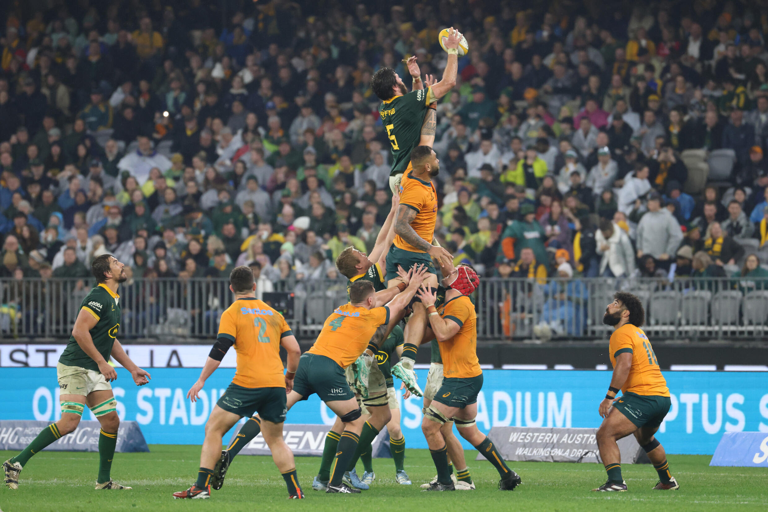 South Africa again overwhelm Australia in Rugby Championship