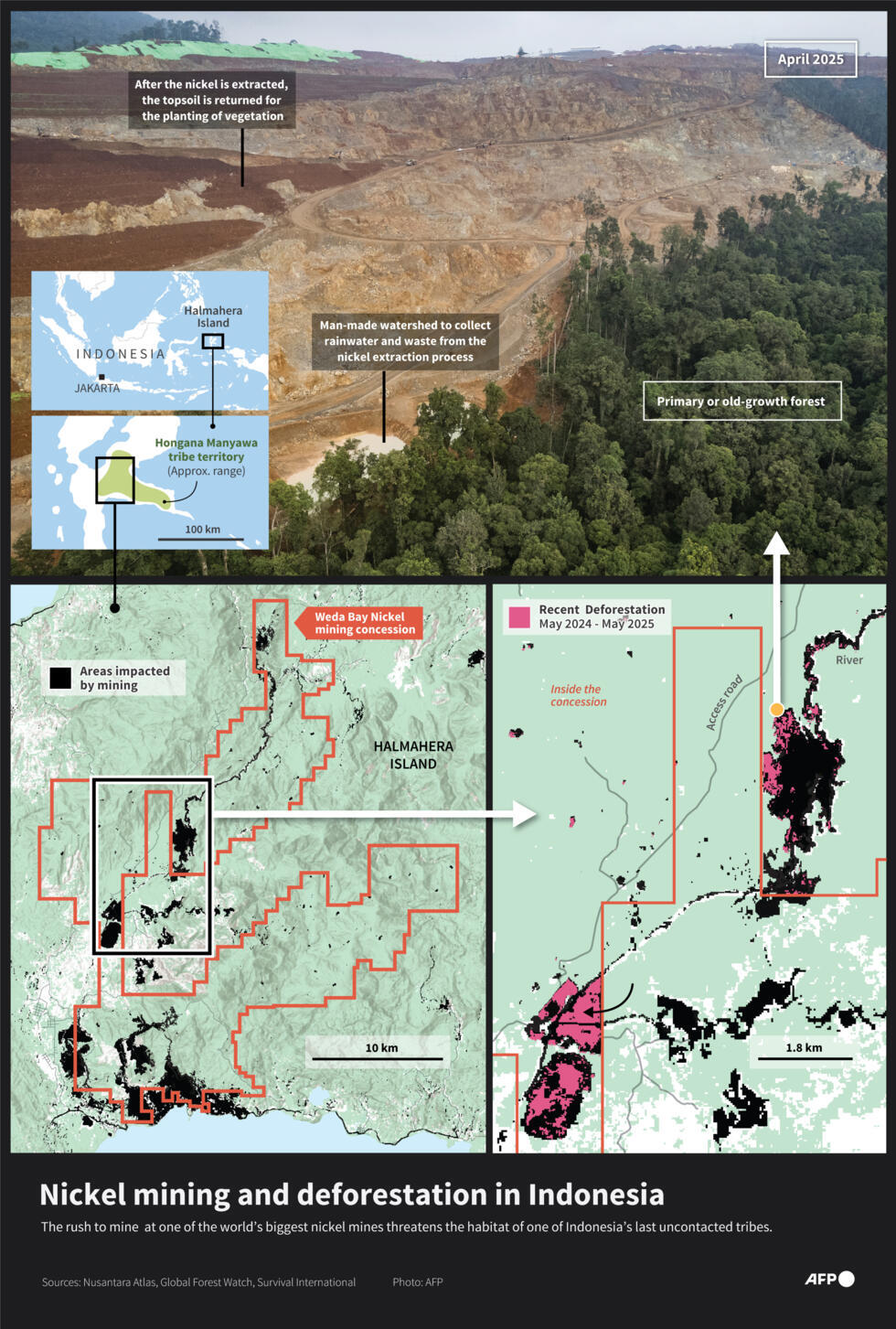 Nickel rush for stainless steel, EVs guts Indonesia tribe's forest home