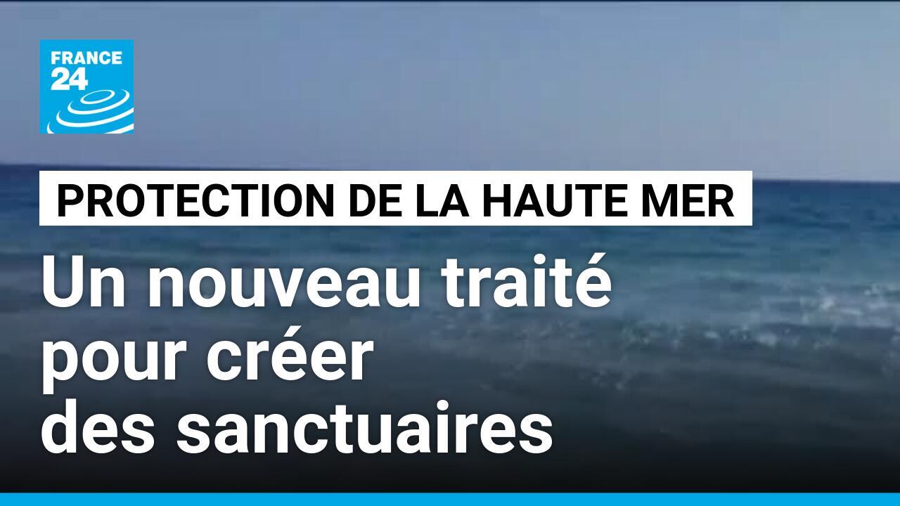 Protection de la haute mer : un traité pour créer des sanctuaires jugés ...