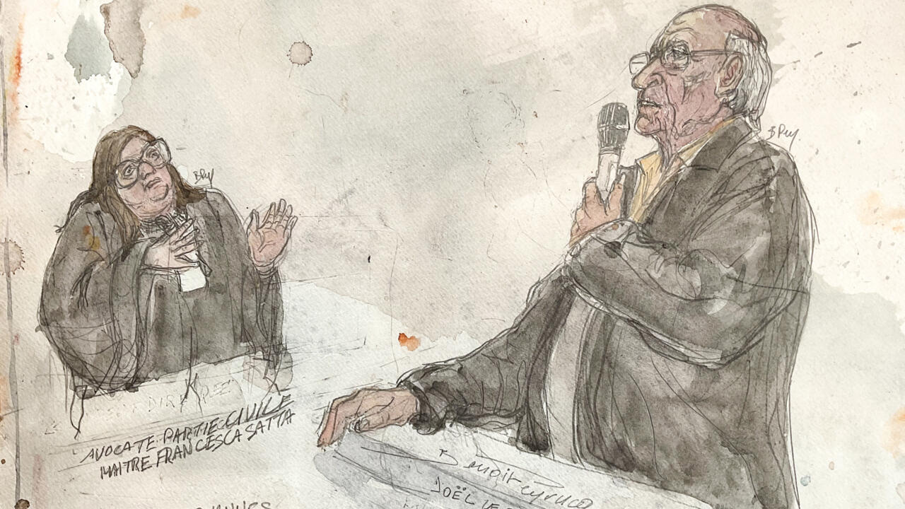 French ex-surgeon Le Scouarnec on trial for sex abuse admits guilt for ...