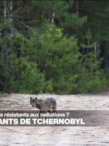 Enfants et écrans : les effets néfastes d'un usage excessif - C'est en ...