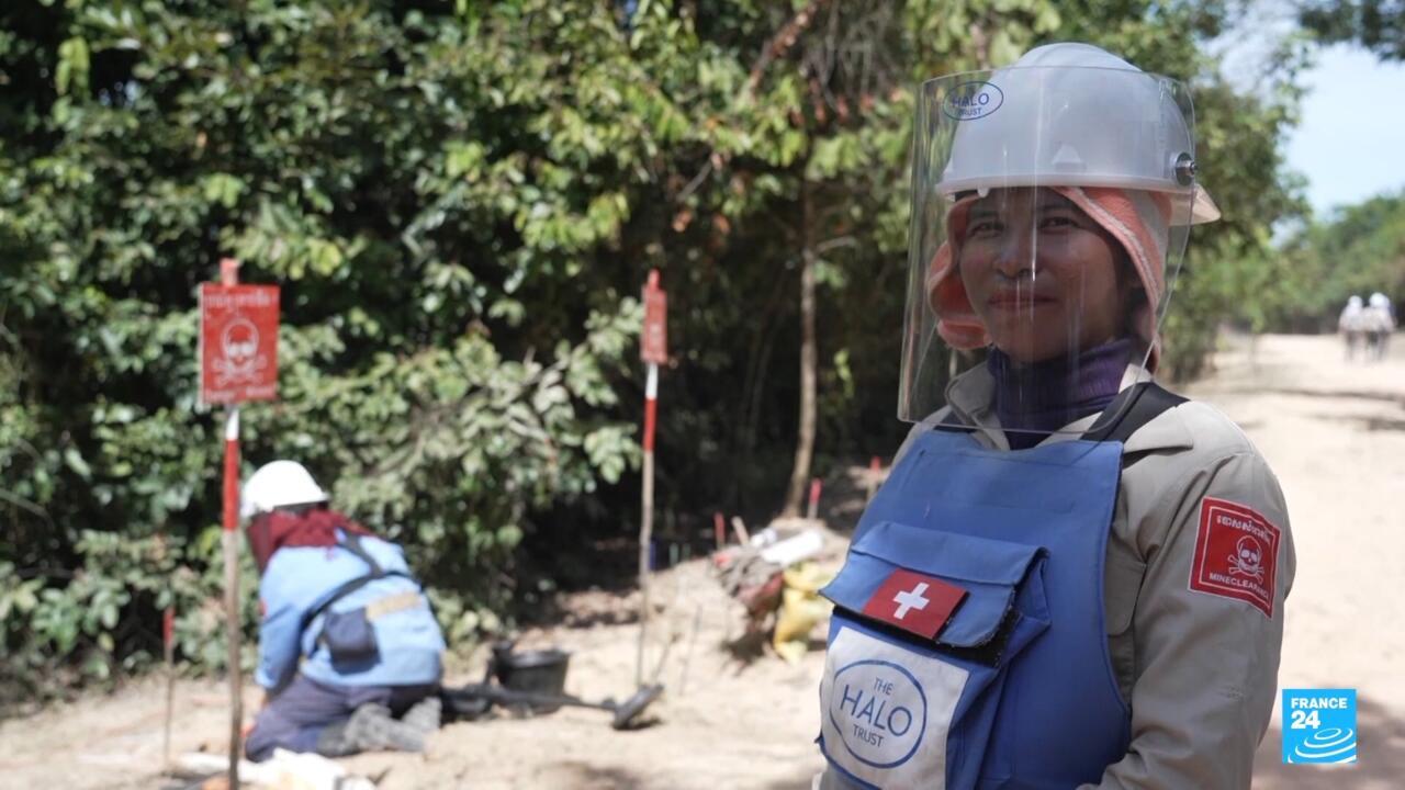 Giant rat wins world record for sniffing out landmines in Cambodia ...