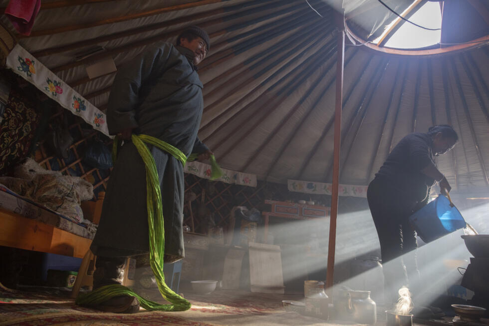 Mongolia's wildlife at risk from overgrazing