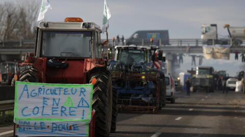Fewer, older, poorer: France’s farming crisis in numbers