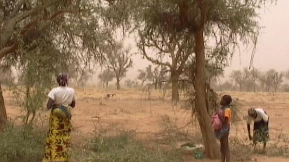 Niger under threat from food shortages - Focus