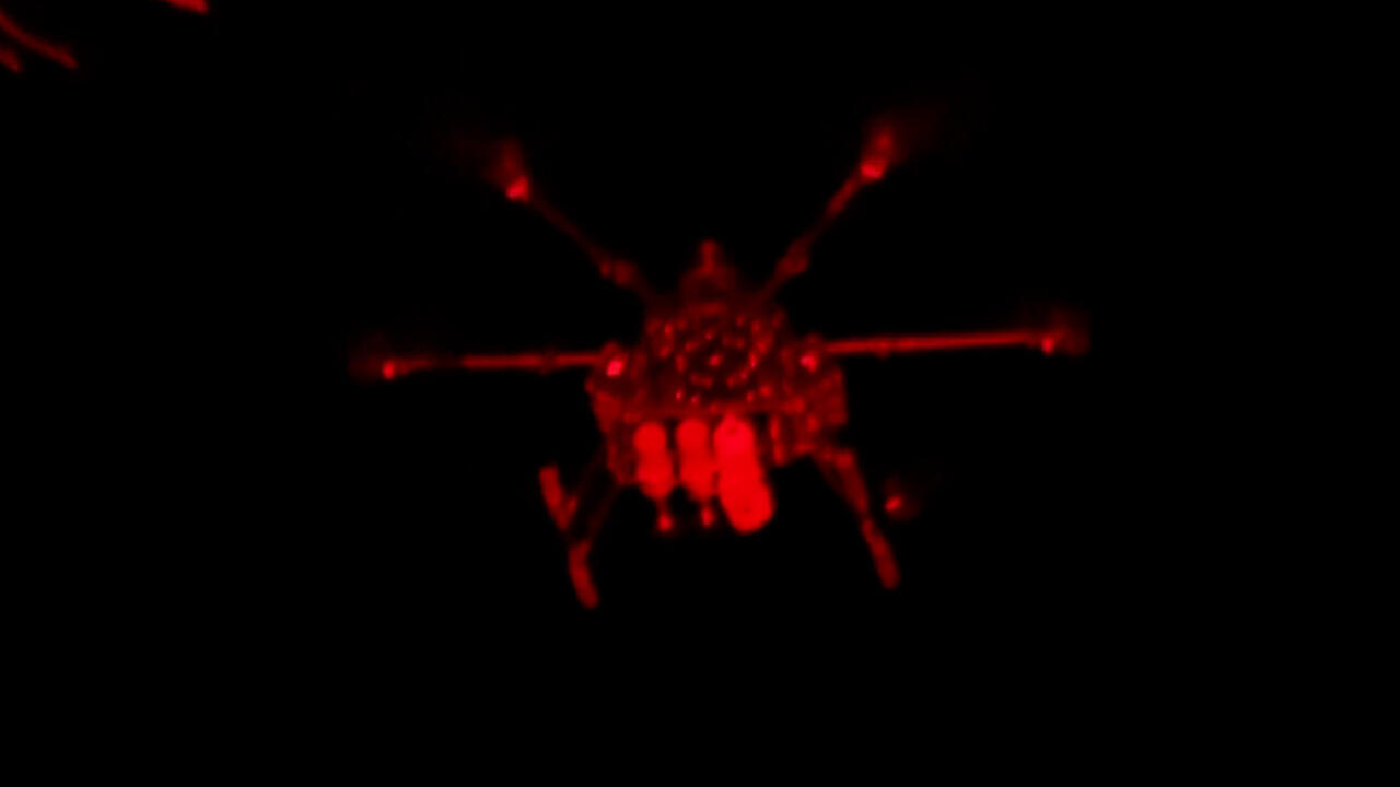 'Vampire’ drone: Ukraine’s heavy-hitting night bomber - France 24