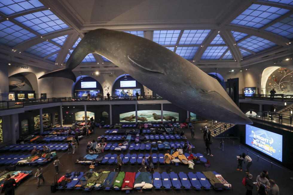 In New York, a night at the museum -- five years in the making