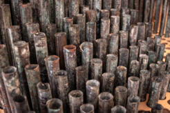 The Bright Side: Oldest organ, brought from France to Jerusalem during ...