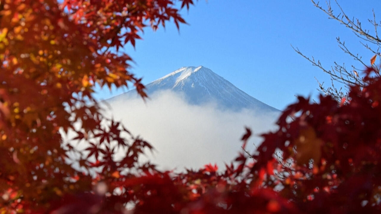Japan’s Mount Fuji: Autumn beauty draws crowds despite rising bear ...