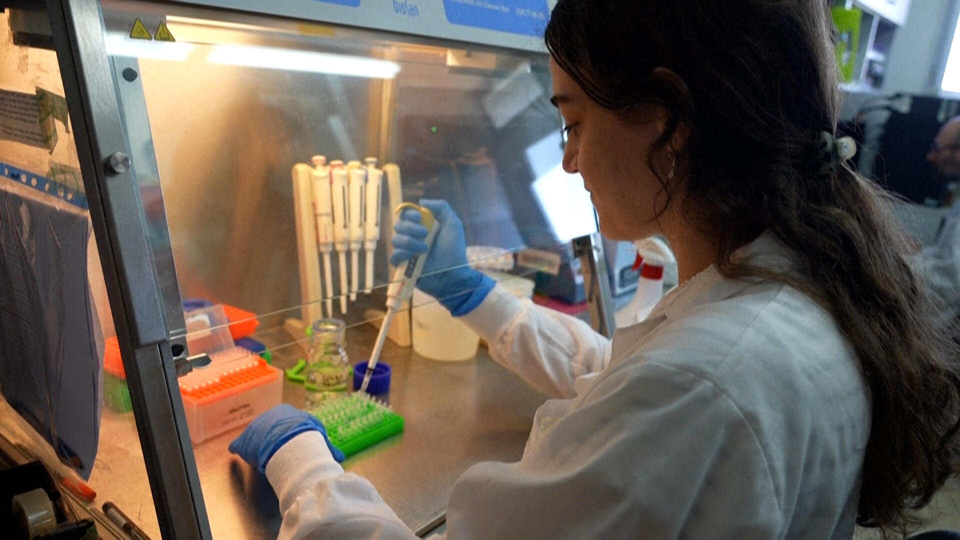 Israel's Gaza war budget leaves top scientists in limbo - France 24