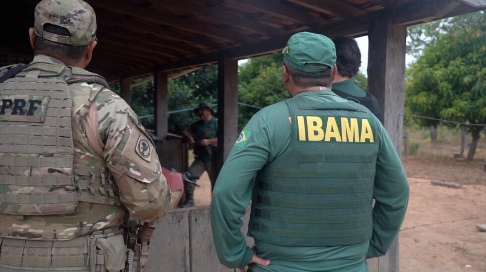 Ibama: Brazil's environmental police are back on the job - France 24