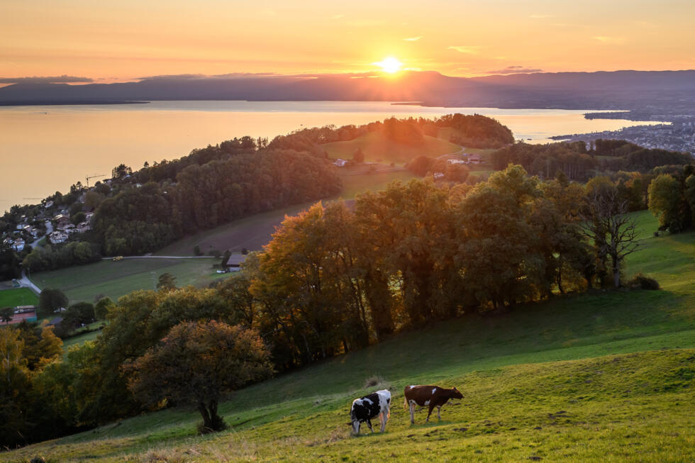 Billionaires' wealth more than doubles in 10 years: UBS