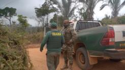 Ibama: Brazil's environmental police are back on the job