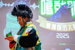 Bird call contest boosts conservation awareness in Hong Kong's concrete ...