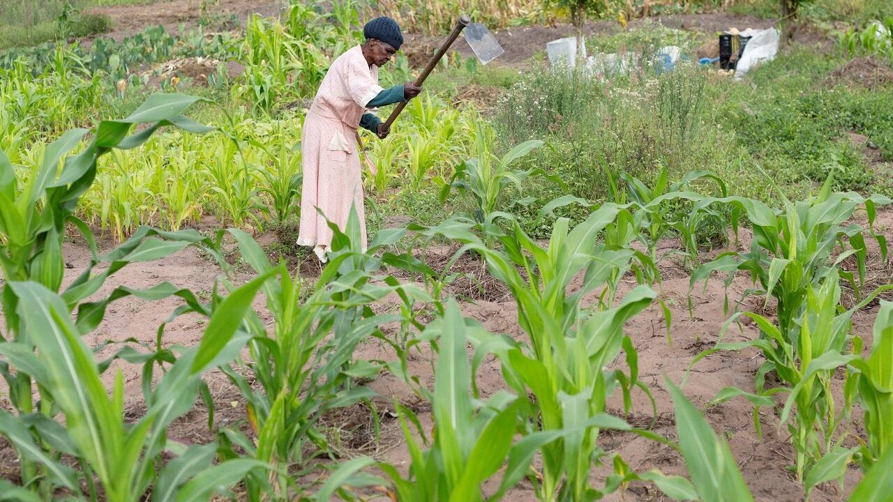 Una de cada diez personas en el mundo se acuesta cada noche sin comer ...