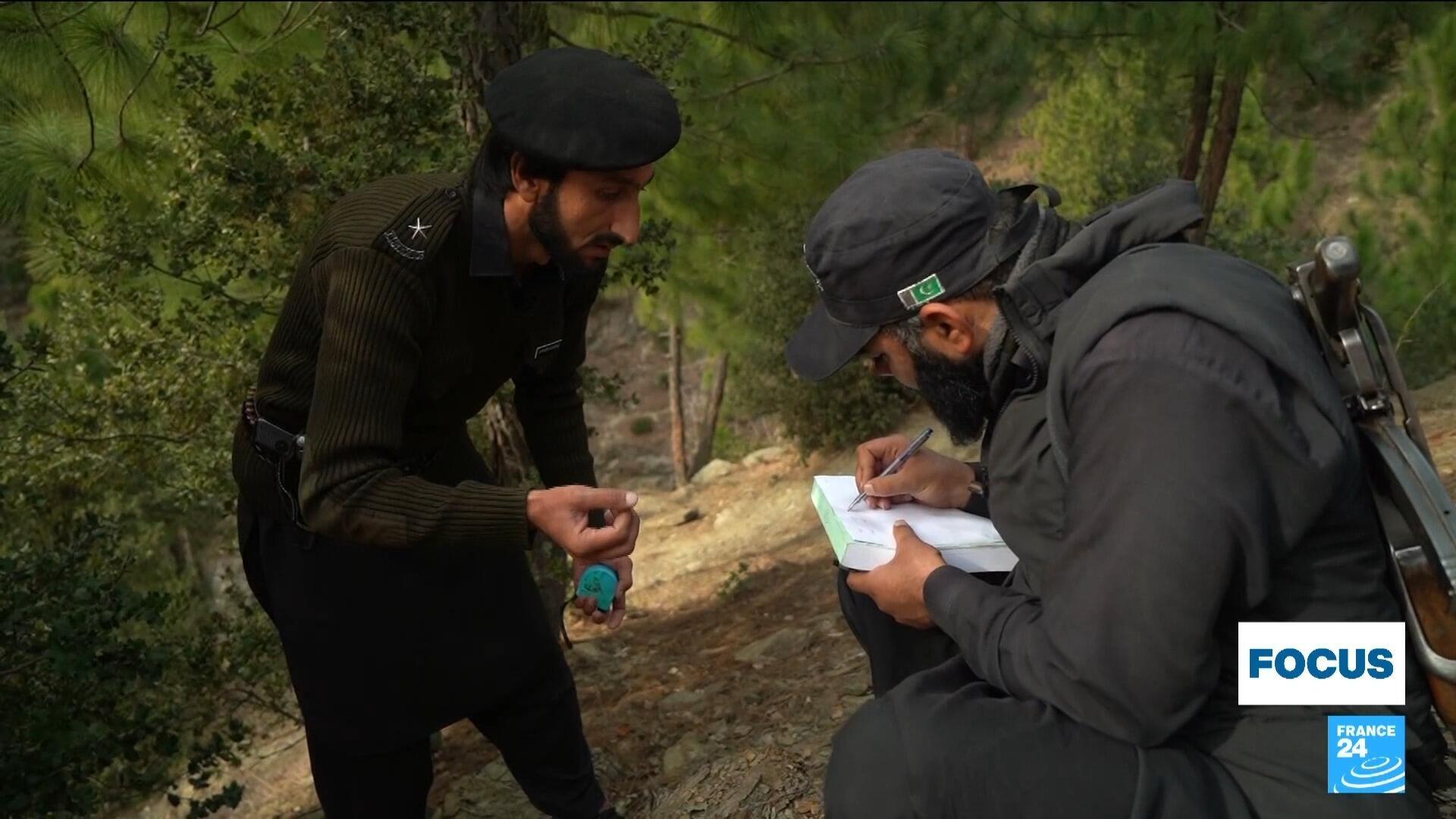 International Day of Forests: Pakistan struggles to fight timber ...