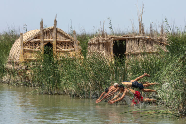 Iraq's marshes are dying, and a civilisation with them