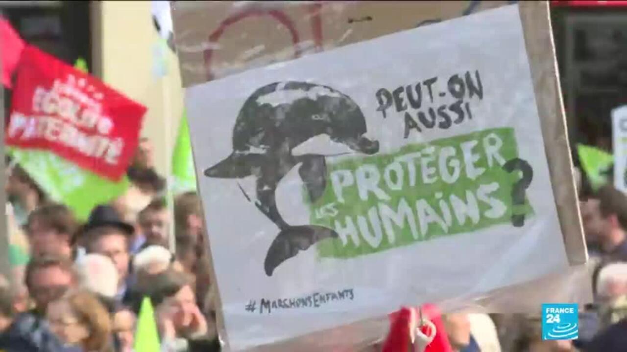 Protests against France's proposed new IVF law report - France 24