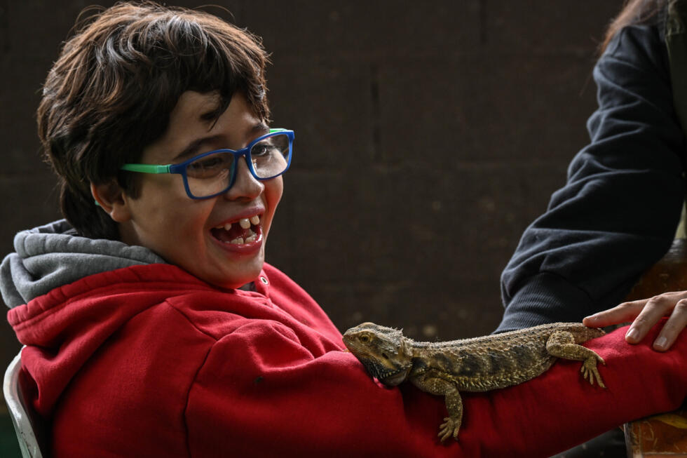 Snakes as therapy animals: reptiles help heal in Brazil