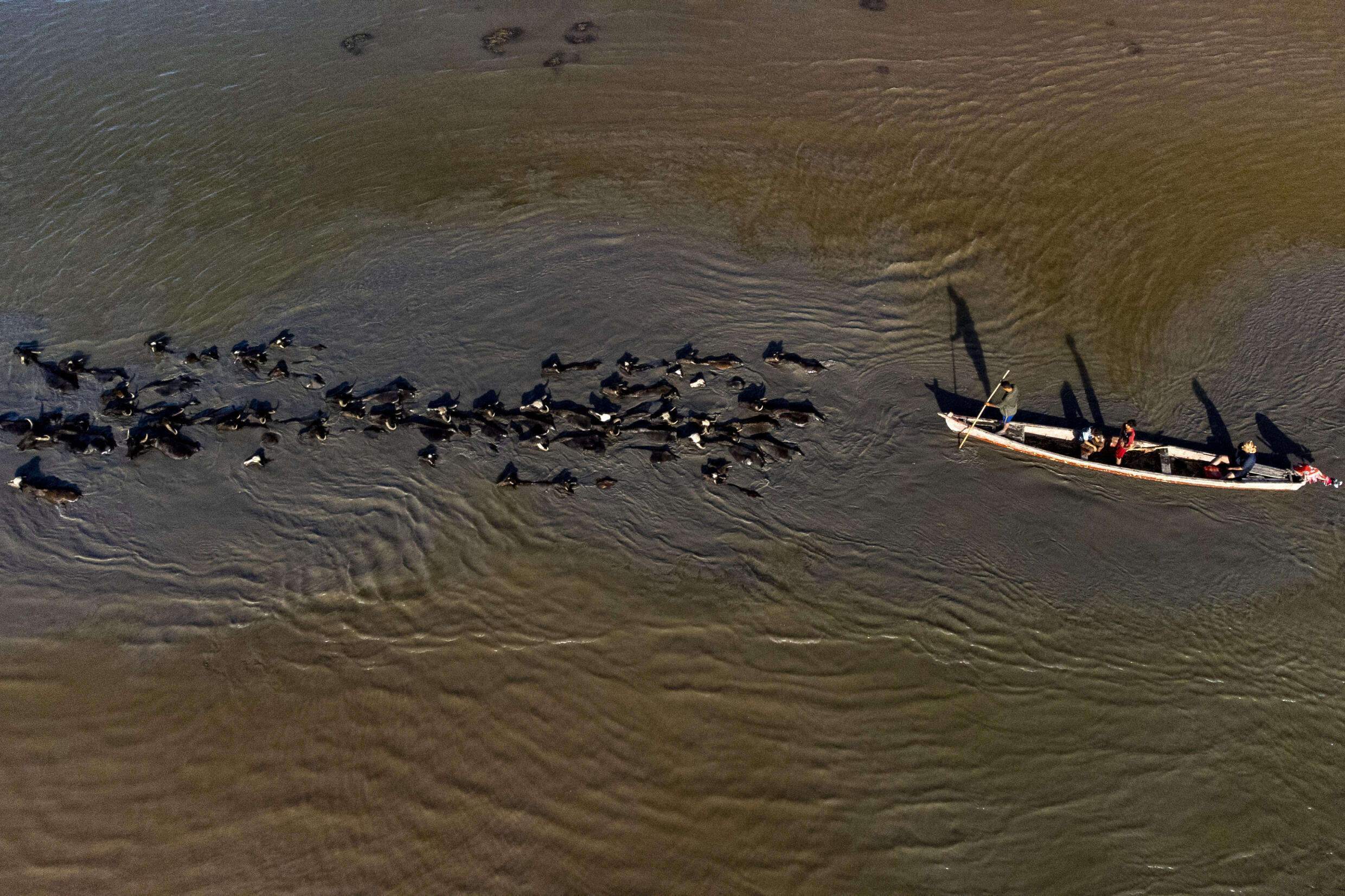 Iraq's marshes are dying, and a civilisation with them