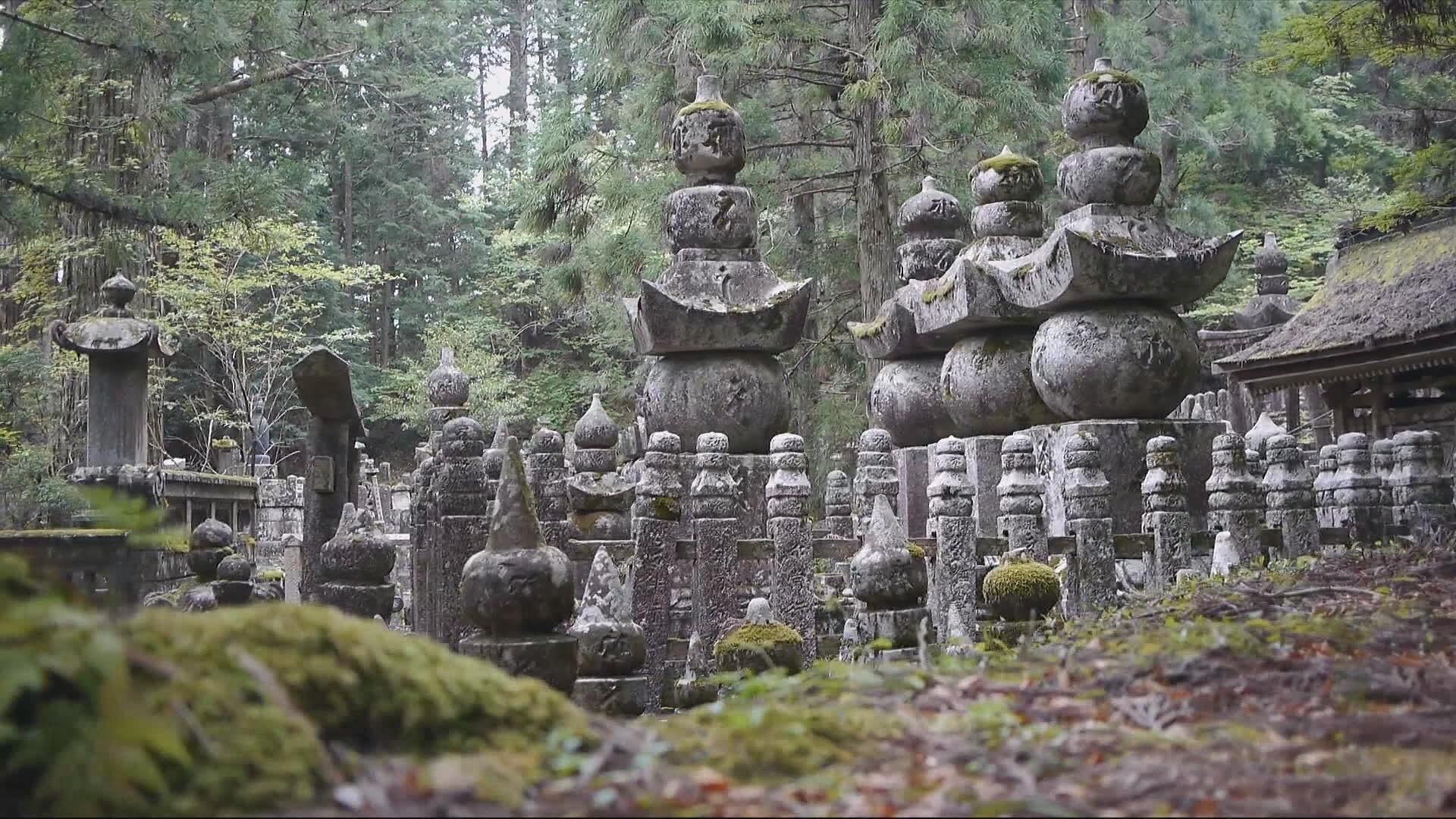Why Japan's oldest cemetery is becoming a tourist attraction - Access Asia