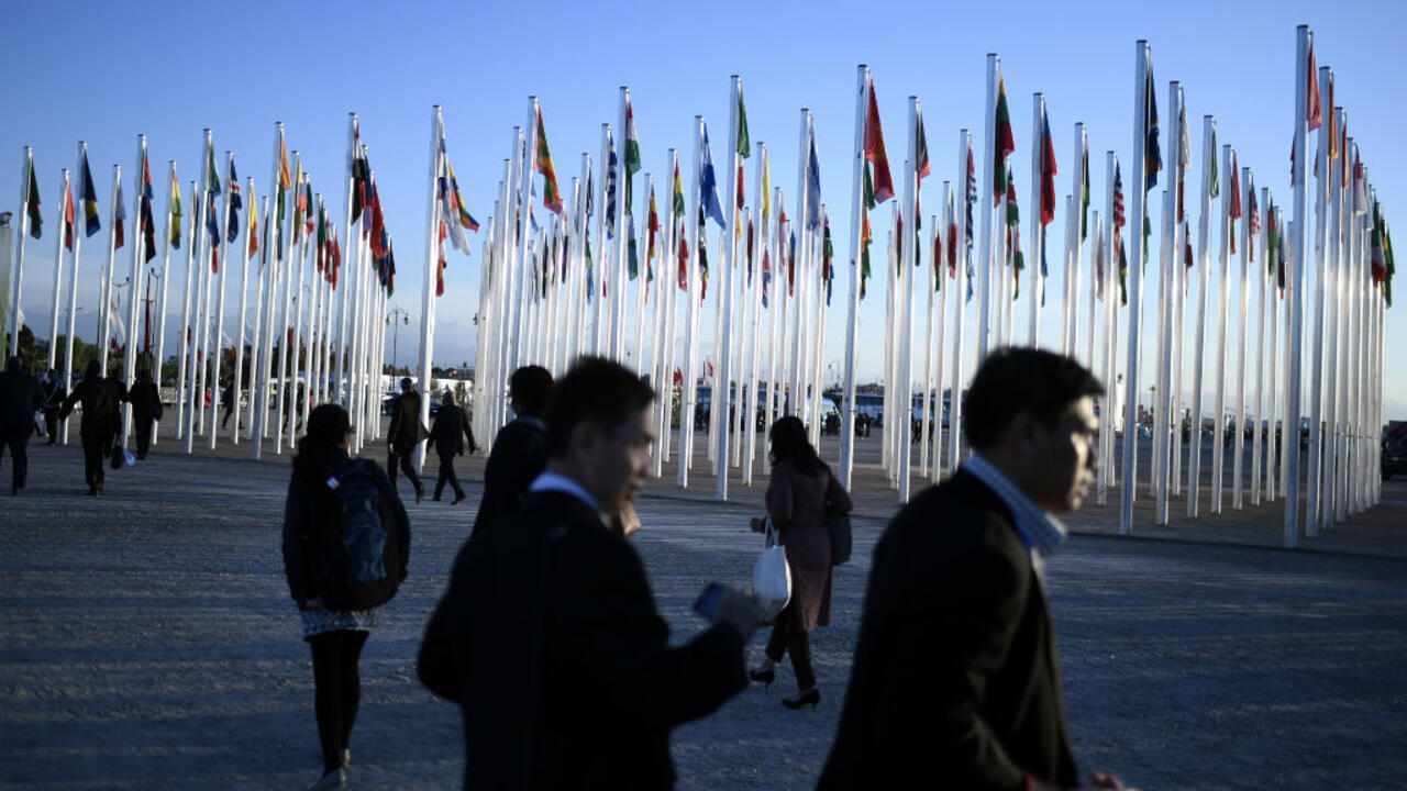 Video: UN's COP22 climate conference in Morocco calls for 'urgent ...