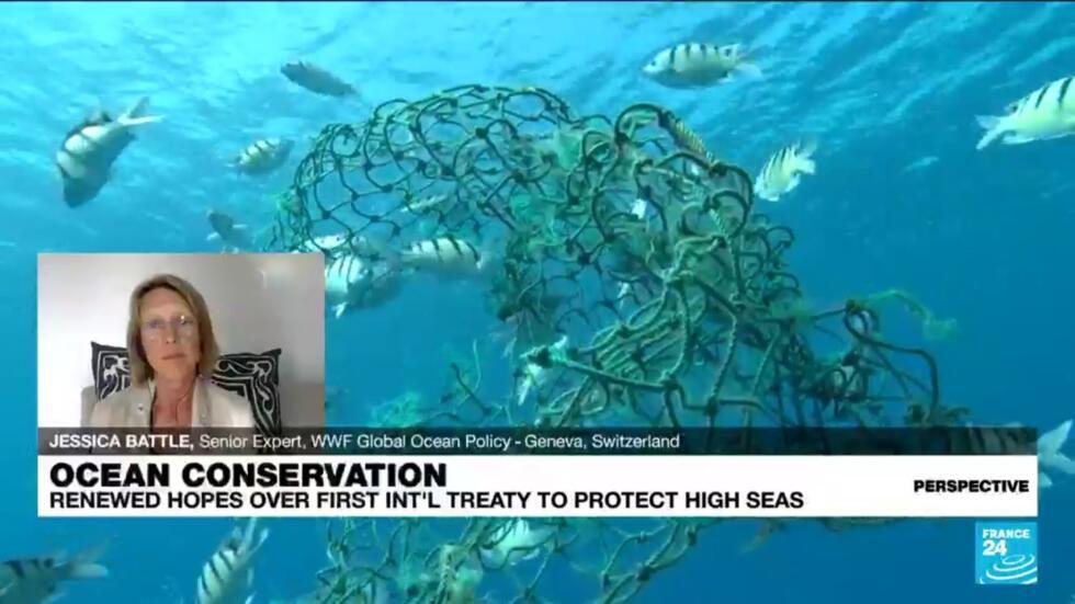 Ocean conservation: Why the first-ever high seas treaty matters ...