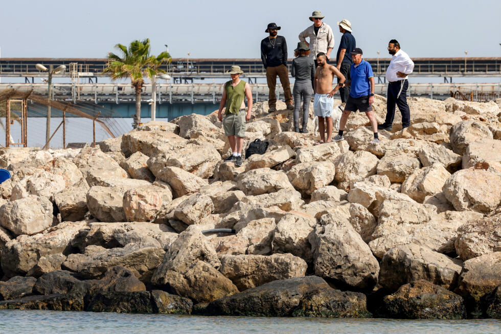 'Alpha predator' sharks and humans clash on an Israeli beach
