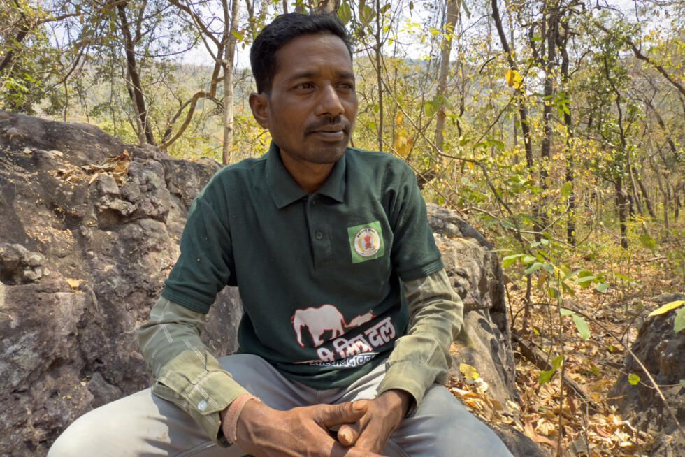 India's elephant warning system tackles deadly conflict