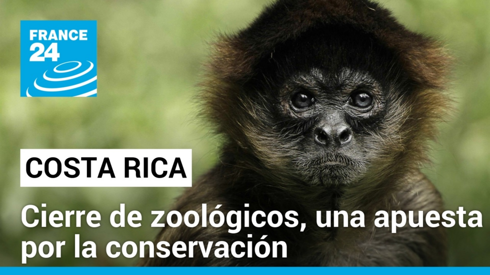 Costa Rica cierra sus zoológicos estatales y traslada a los animales a ...