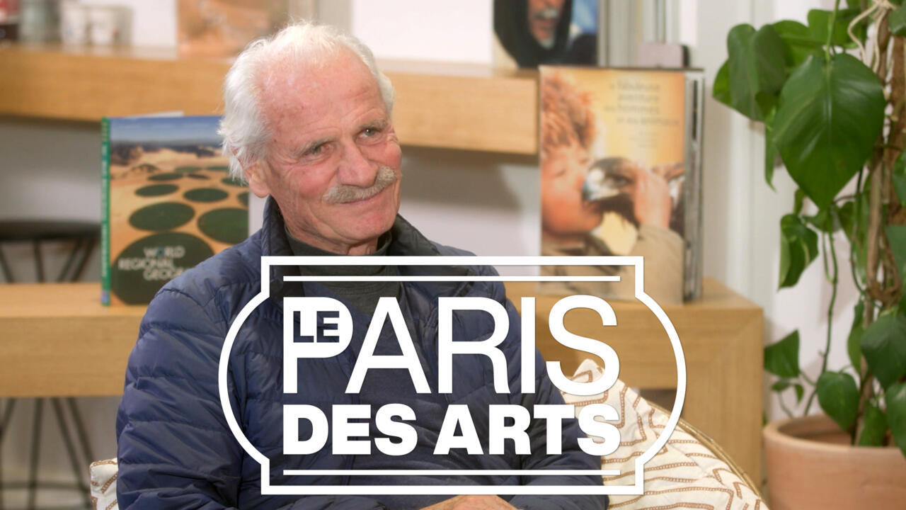 Le Paris des Arts de Yann Arthus-Bertrand - Le Paris des arts