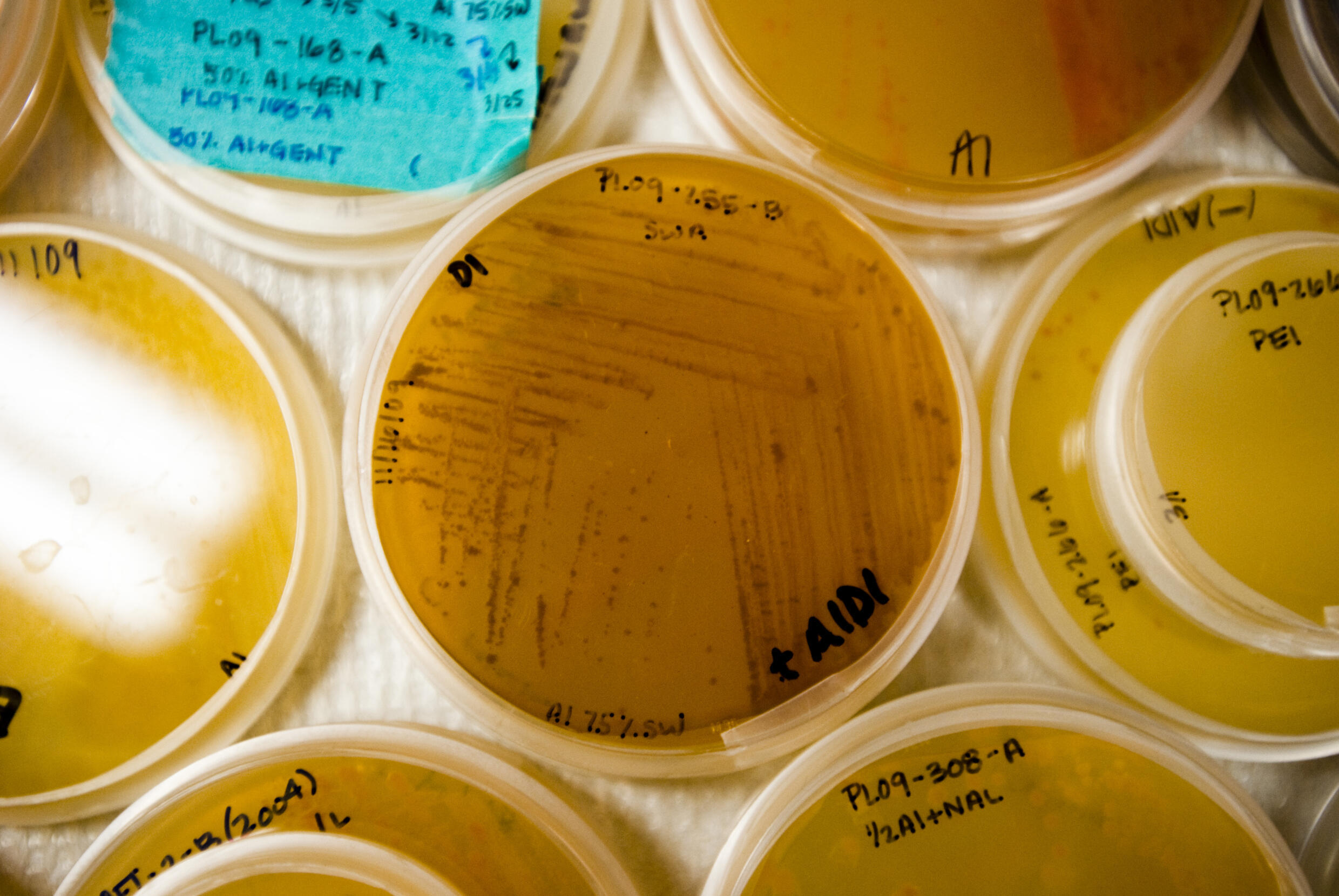 Drugs from the deep: scientists explore ocean frontiers