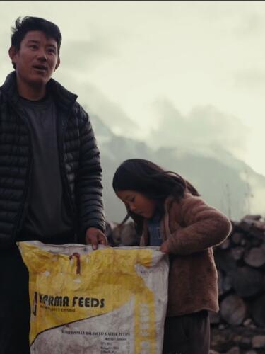 Enfants et écrans : les effets néfastes d'un usage excessif - C'est en ...