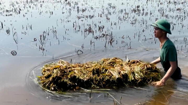 Baghdad gets a makeover: Iraqi capital undergoes major renovation ...